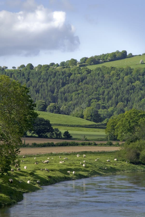 English Countryside River stock image. Image of countryside - 19611185