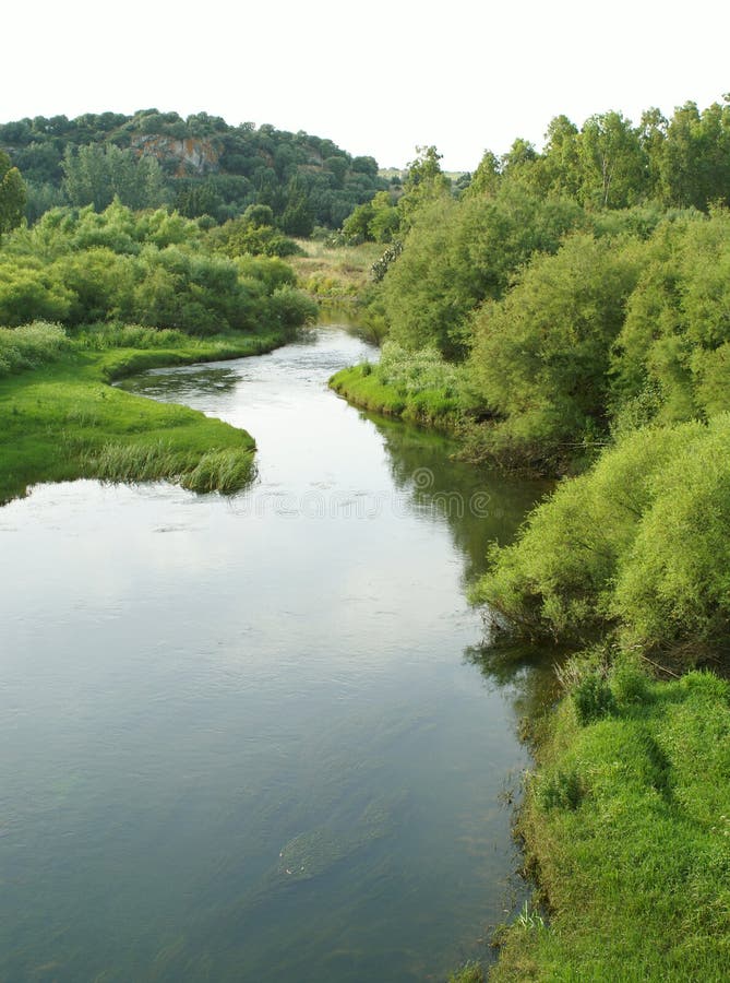 The river stock image. Image of river, marsh, wetland - 5366803