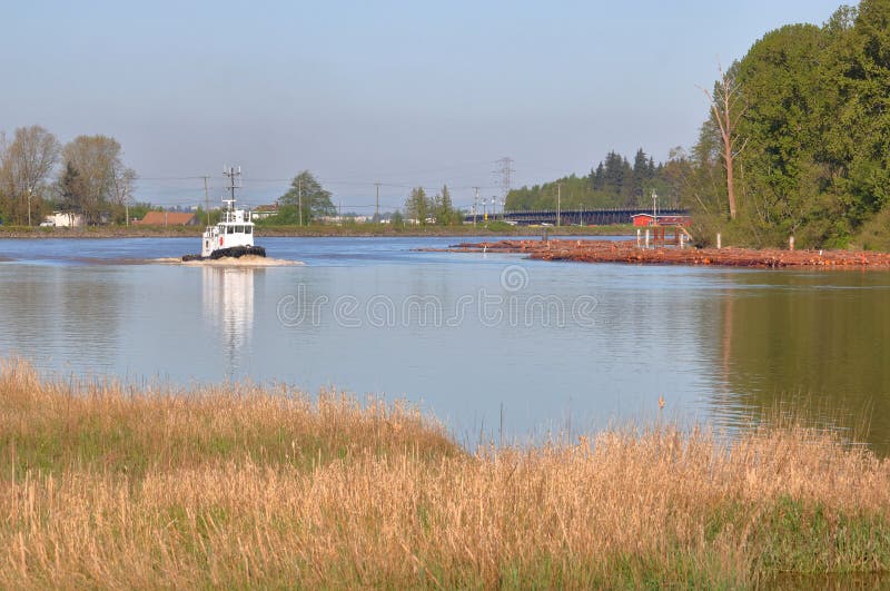 River Activity and Nature stock image. Image of reflection - 116033607