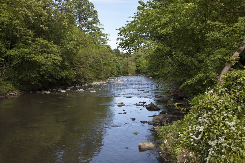 River Almond stock photo. Image of edinburgh, shadow - 60493806