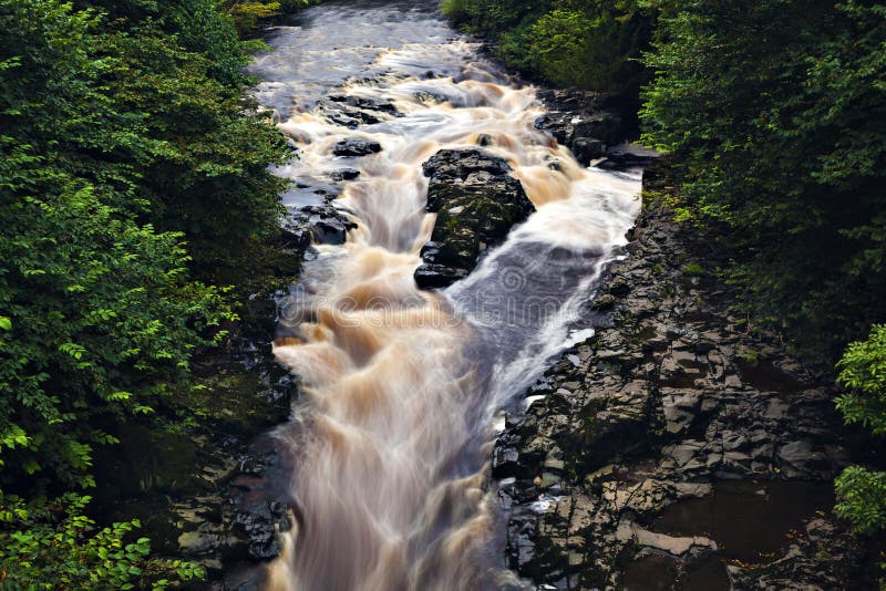 River Almond stock photo. Image of park, green, scenic - 84893722