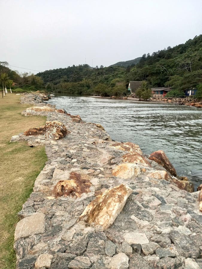 River Arm with Green Forest and Rocks Stock Photo - Image of formation ...