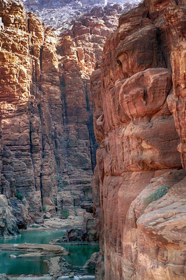 River Arnon, Wadi Musa, Jordan Stock Photo - Image of ecology ...
