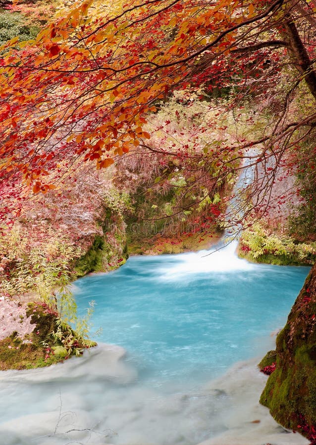 River in the autumn forest stock image. Image of fall - 26410235