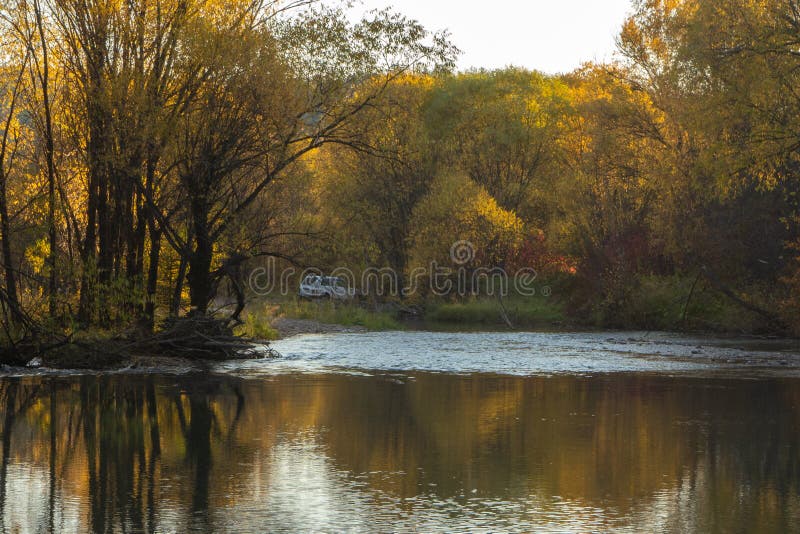 River with Autumn Forest in Siberia Stock Image - Image of nature ...