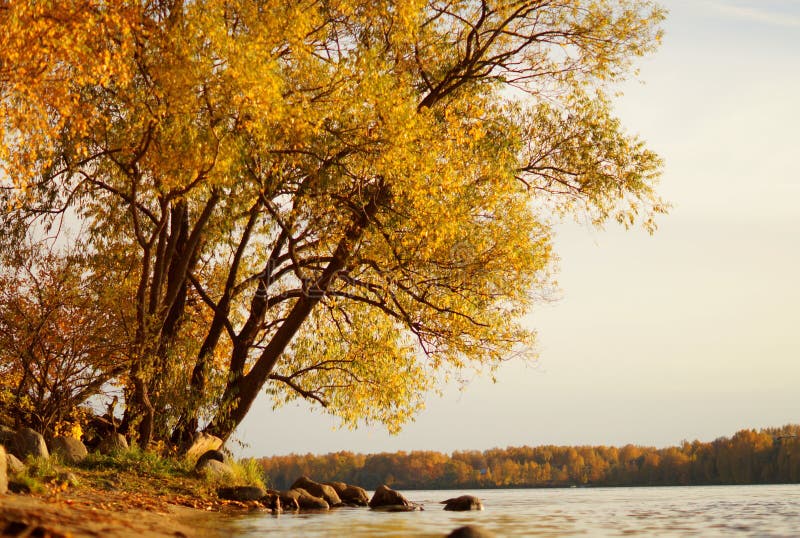 River with autumn trees stock image. Image of riverside - 79280505