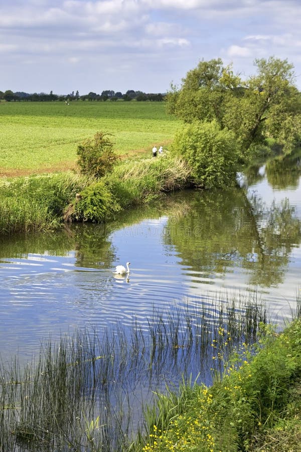 The River Avon, Warwickshire, England. Stock Photo - Image of waterway ...