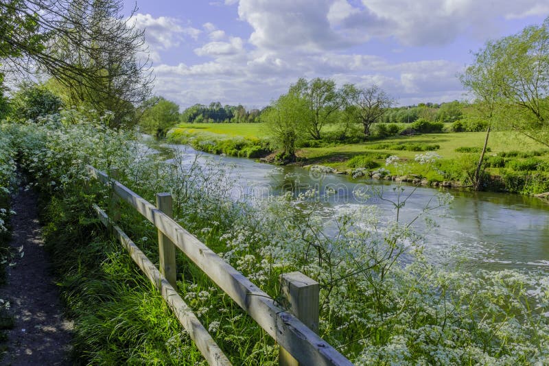 River avon stock image. Image of nature, beautiful, tourist - 40598049