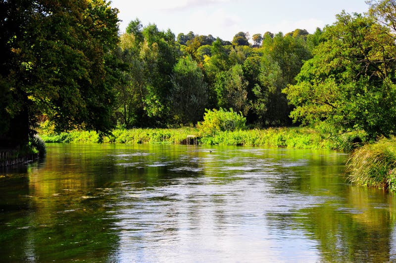 River Avon, Salisbury, Wiltshire, England Stock Image - Image of ...