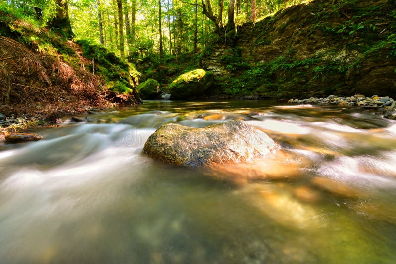 River Avrig Flowing through Forest Stock Photo - Image of nature, rocks ...