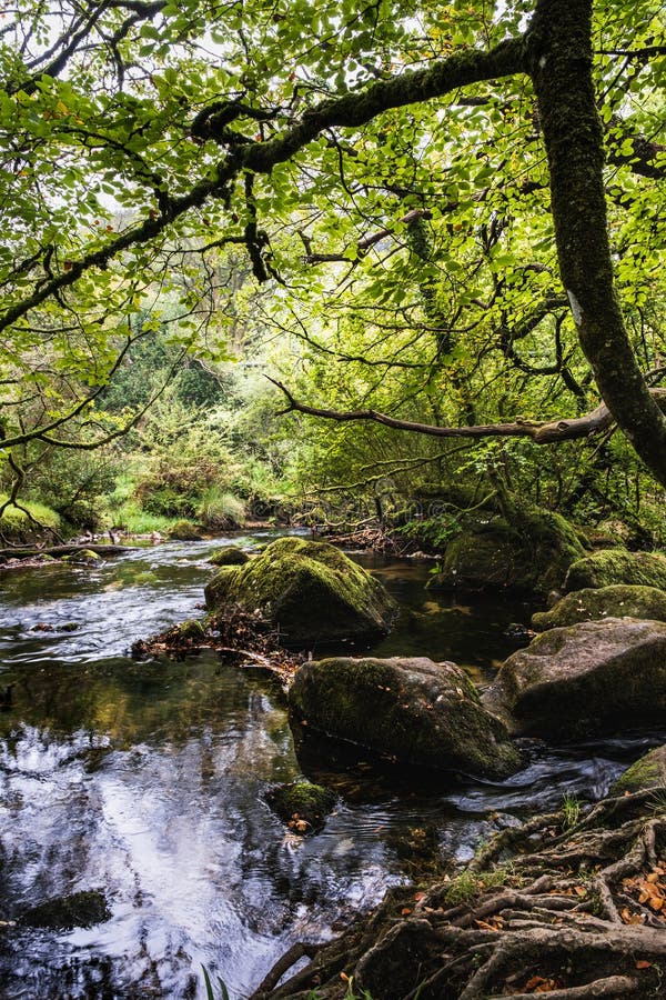 The River Bank stock image. Image of rocks, granite - 198413953