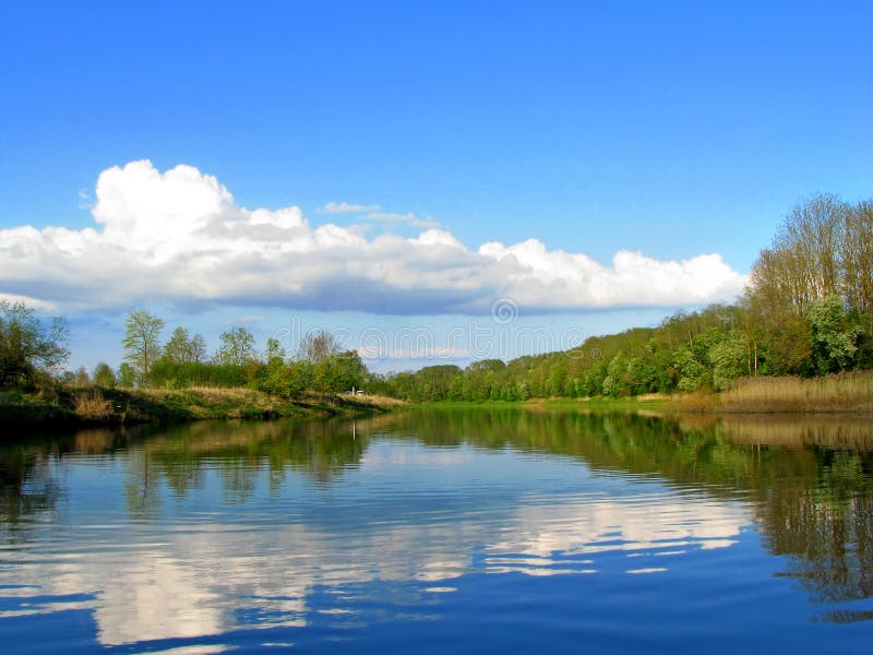 River bank stock image. Image of nature, flower, river - 6532141