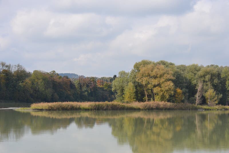 River Bank in Autumn with Flora Shadows on the River Stock Image ...