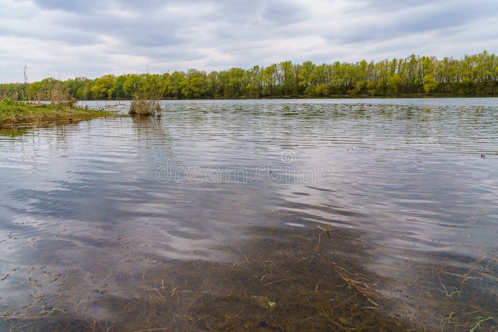 River Bank. Background with Selective Focus and Copy Space Stock Photo ...