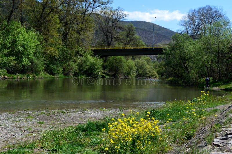 River Bank and the Bridge in the Spring Stock Photo - Image of bank ...