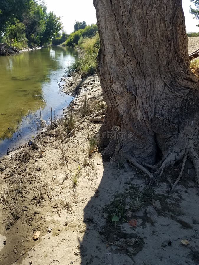 Down river stock image. Image of water, flowing, bank - 125874457