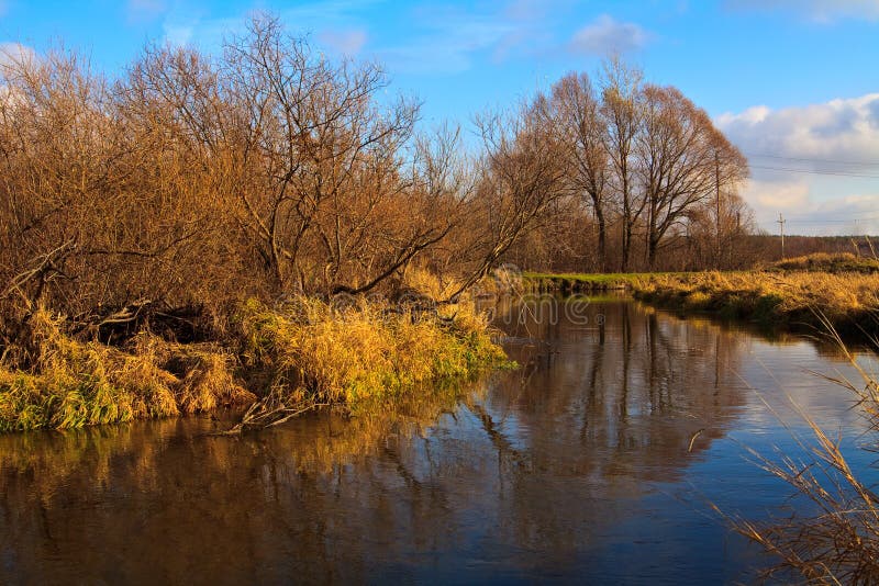 River bank at fall stock photo. Image of gold, nature - 17054370