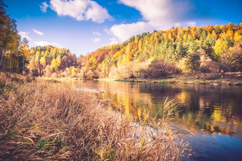 River bank in fall stock photo. Image of colors, shoreline - 61274002