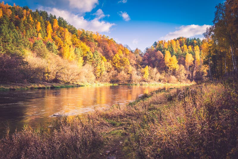 River bank in fall stock photo. Image of colors, shoreline - 61274002