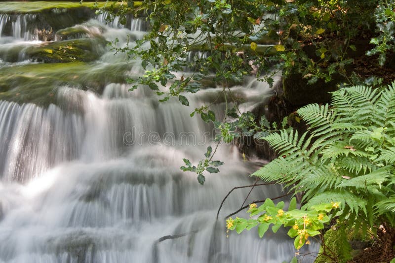 River Bank and Falls stock image. Image of nature, algae - 10035187