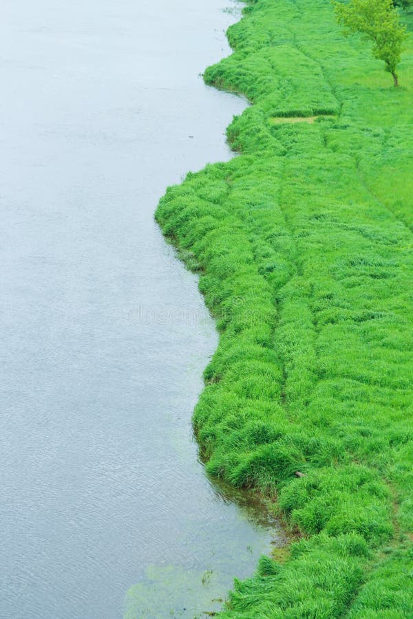 River Bank with Green Grass and Reed Top View.horizontal Orientation ...