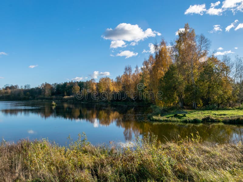 The river bank stock image. Image of beatiful, still - 153355259