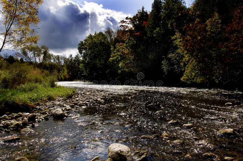 River bank landscape stock photo. Image of rapid, water - 7087262