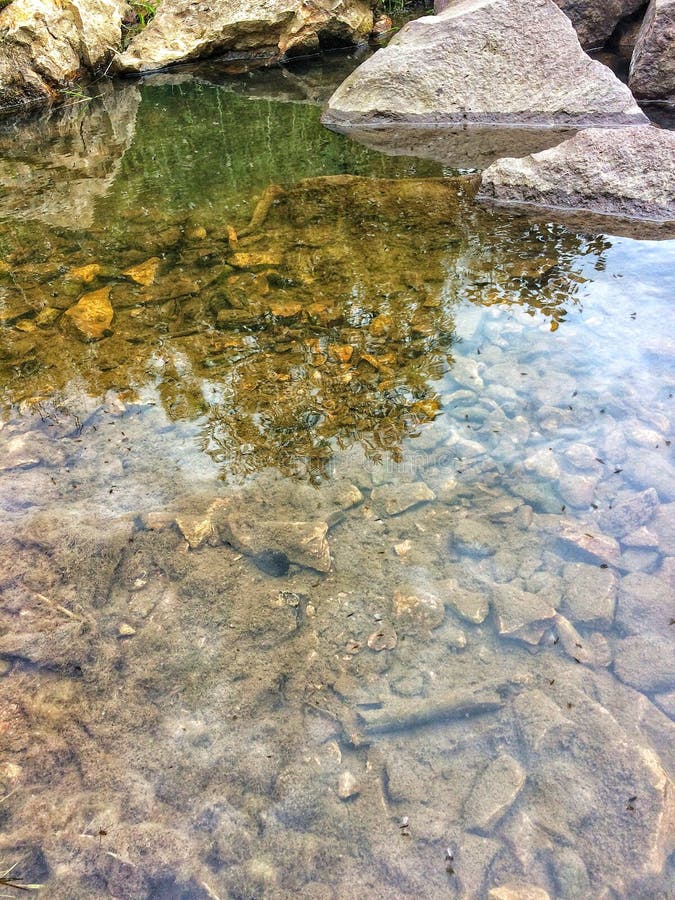 Forest stream reflections stock image. Image of bank - 123945761