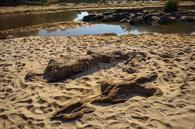 River Bank with Mud and Water Stock Image - Image of desert, arid ...