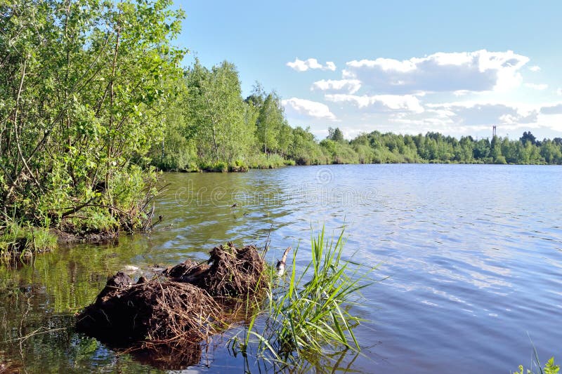 River Bank with Muddy Bottoms on a Hot Summer Day Stock Photo - Image ...