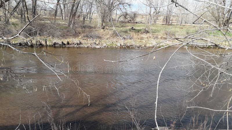 River Bank Overlooking the Trees with Reflections Stock Image - Image ...