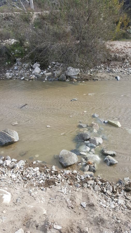 River bank stock image. Image of turbidity, bank, shallow - 85595237