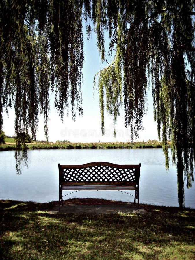 River bank s chair, man! stock image. Image of weeping - 1872345