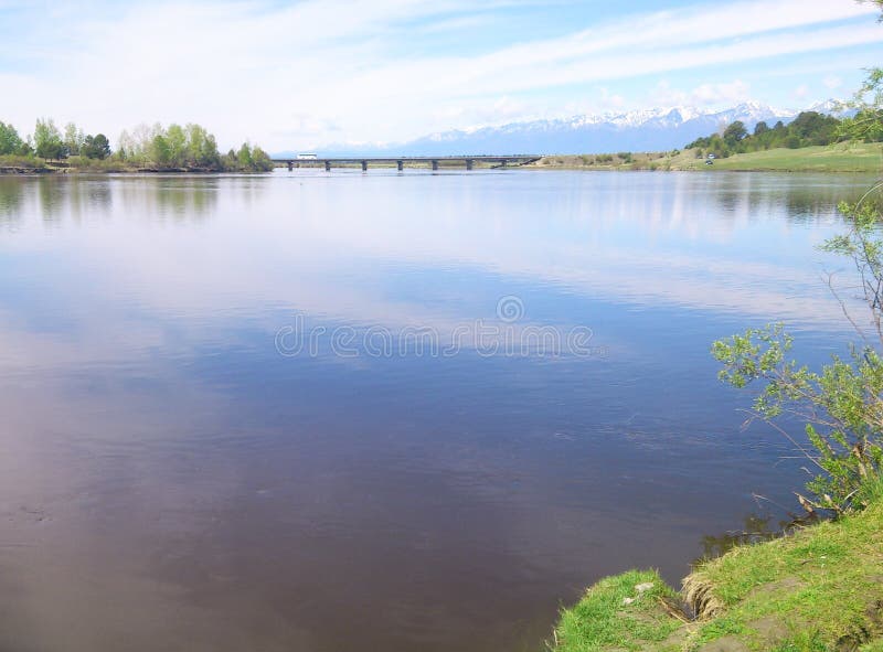 River bank stock image. Image of branch, tree, hill, river - 66117449