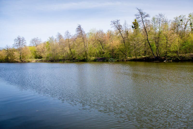 River bank in spring stock image. Image of adventure - 141644331