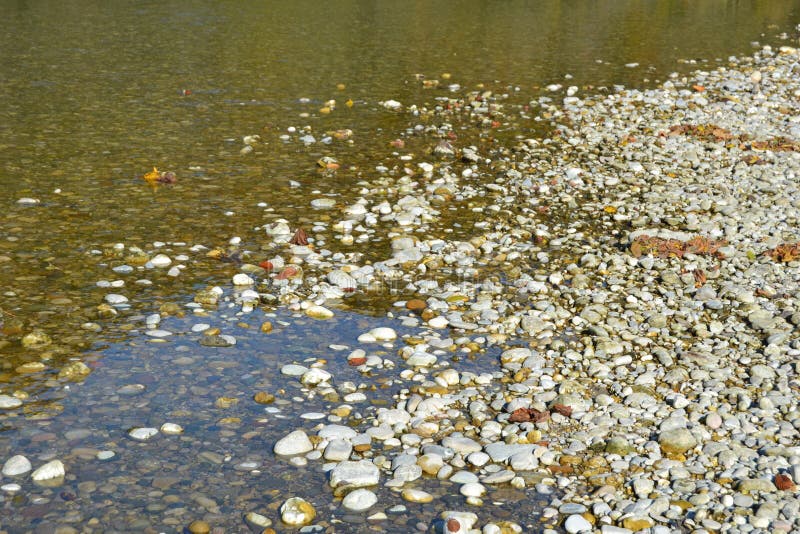 River Bank with Stones that are Partly Wet and Partly Dry Stock Photo ...