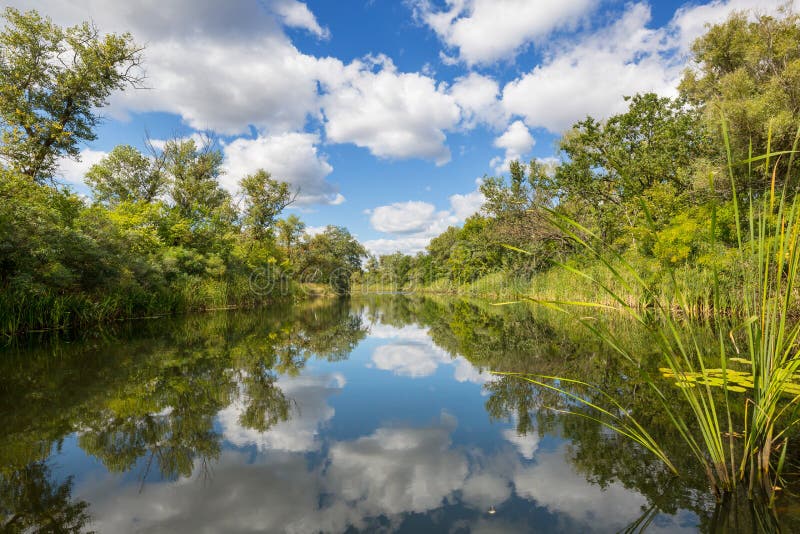 Summer river stock image. Image of nature, bank, reflection - 246822007