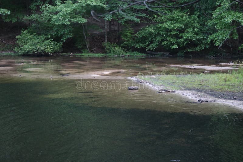 River Bank Swamp Side stock photo. Image of sand, sany - 148104780