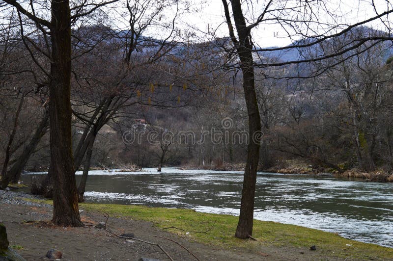 River bank and trees stock image. Image of bank, nature - 141126085