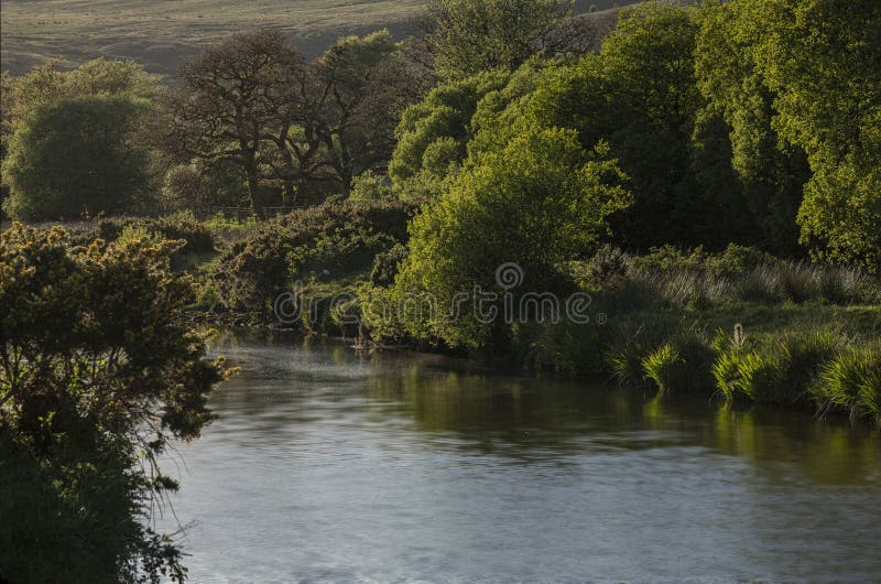 The River Barle in North DEvon Stock Image - Image of summer, green ...