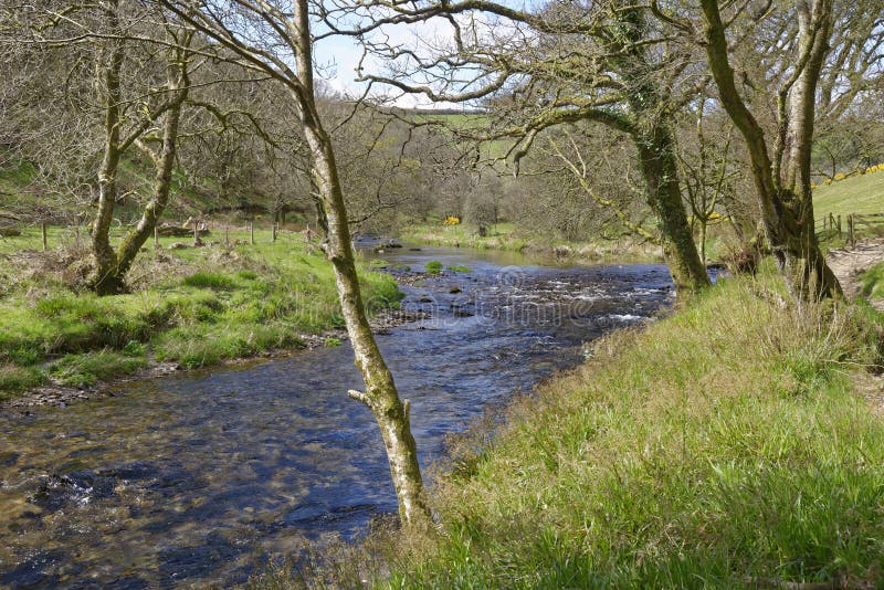 River Barle stock photo. Image of somerset, stone, rural - 116574854