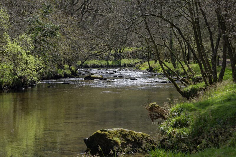 River Barle, Exmoor stock photo. Image of britain, horizontal - 116570798