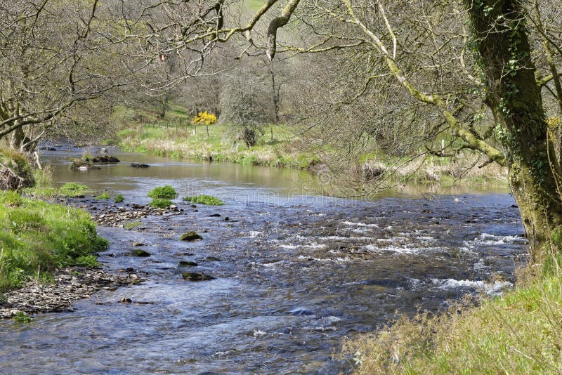 River Barle, Exmoor stock image. Image of wetland, woods - 116570887