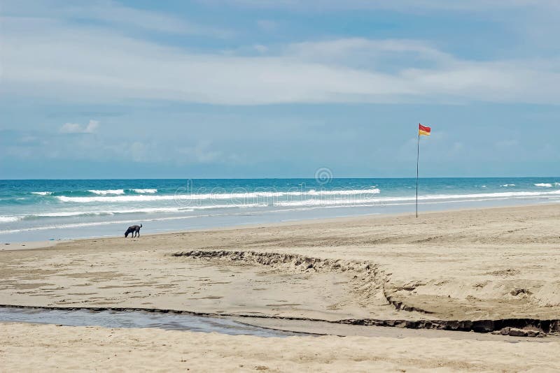 River Flows into Blue Ocean Stock Image - Image of sunny, landscape ...