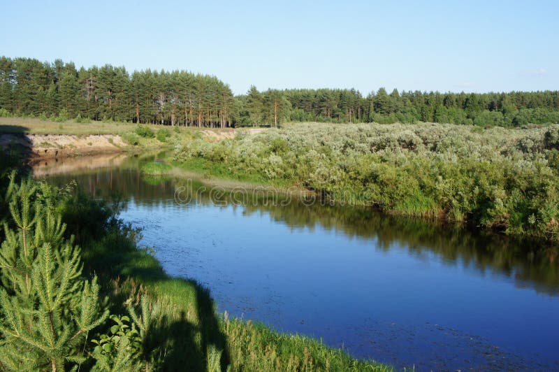 The River Bear in the Tver Region Stock Photo - Image of floodplain ...