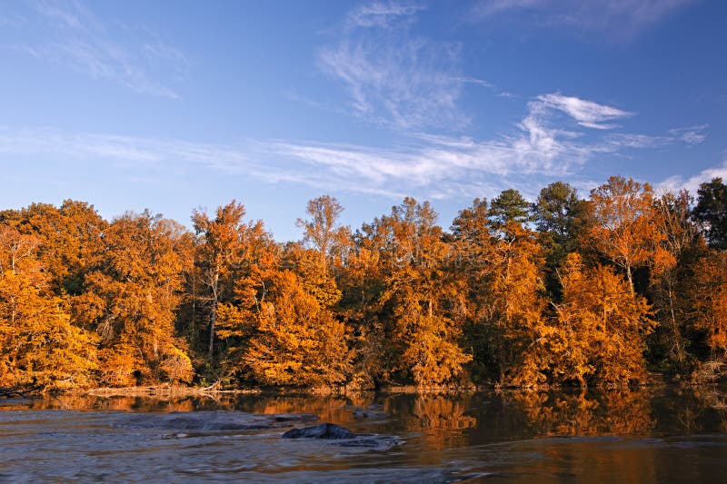 River stock image. Image of trees, river, bright, bush - 32419203