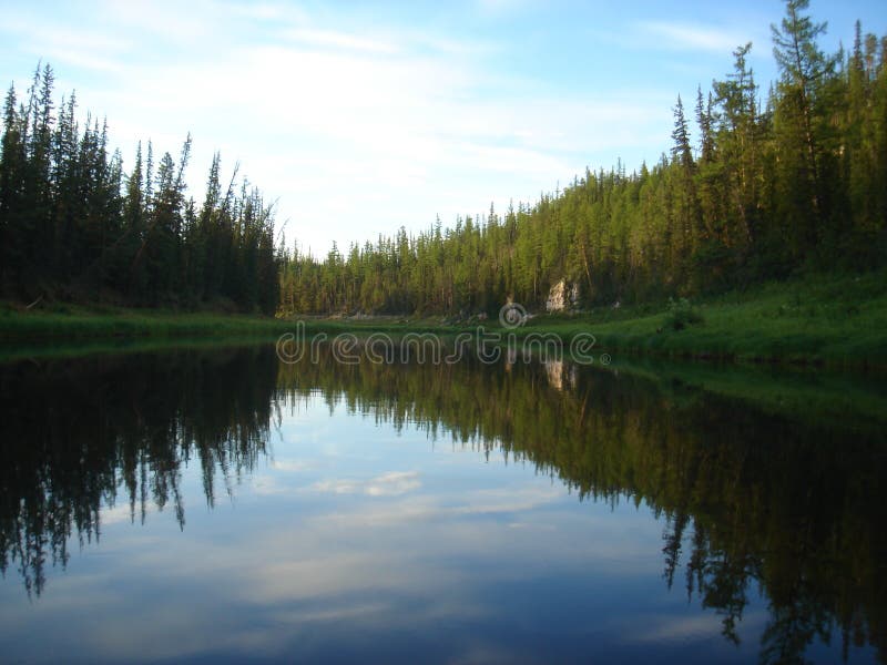 River stock image. Image of trees, mystery, taiga, beautiful - 91639641