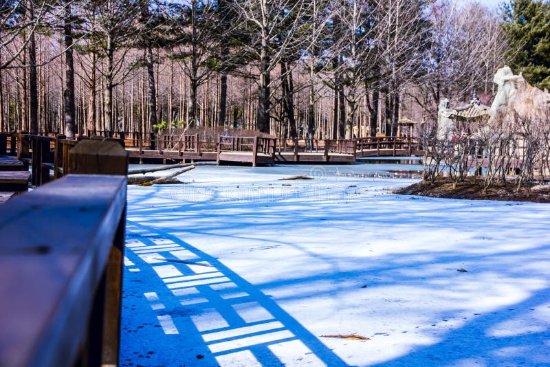 River became ice stock photo. Image of branch, romantic - 99085430