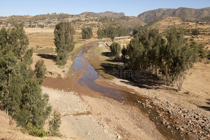 River bed, Ethiopia stock image. Image of trees, ethiopia - 42974577