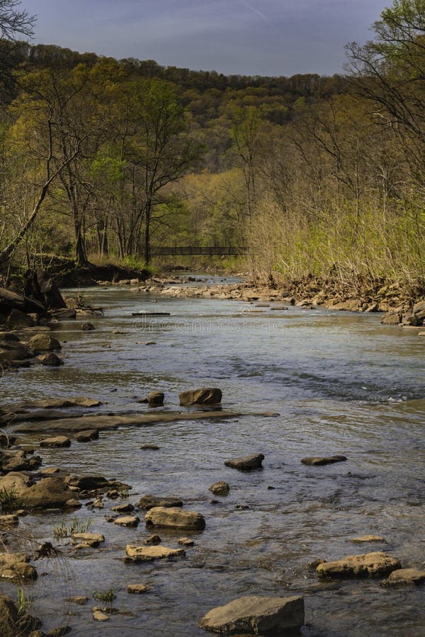River Bed through Ozark Mountains in Very Early Spring Stock Image ...